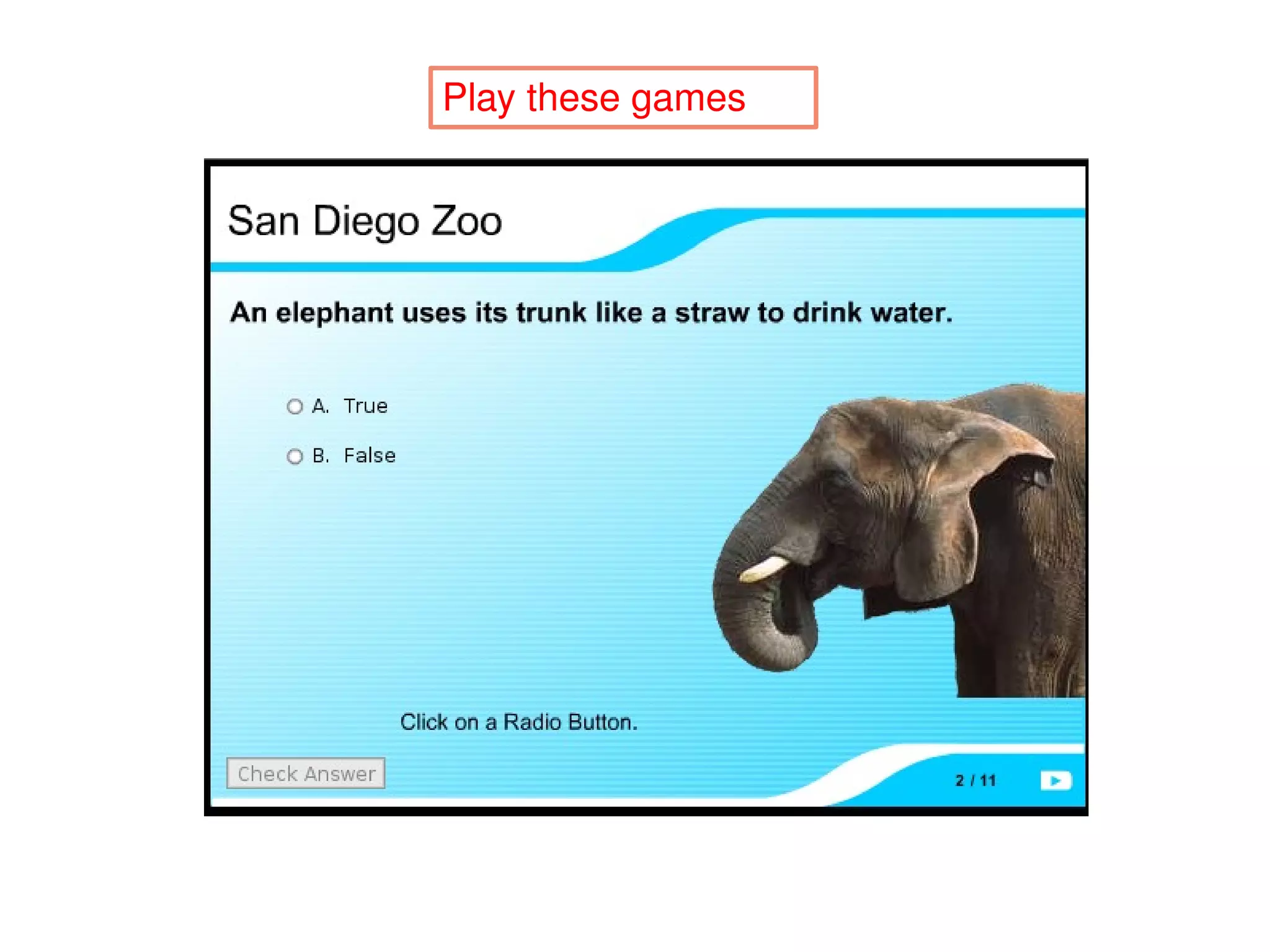 Animals and plants | ODP