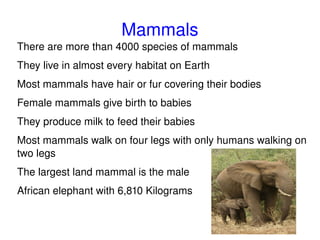 Animals and plants | ODP