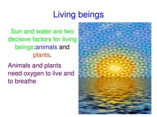 Animals and plants | ODP