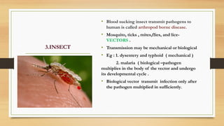 Infection - classification , source & transmission . | PPTX