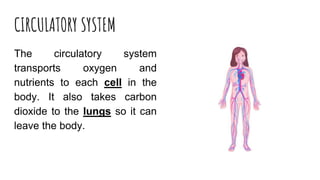 Unit 1 Inside your body 4th level | PPTX