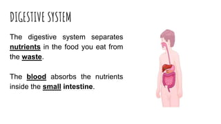 Unit 1 inside your body | PPTX