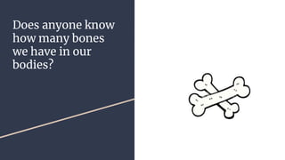 The Skeletal System | PPT