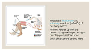 Unit 1 interaction no.1 | PPTX