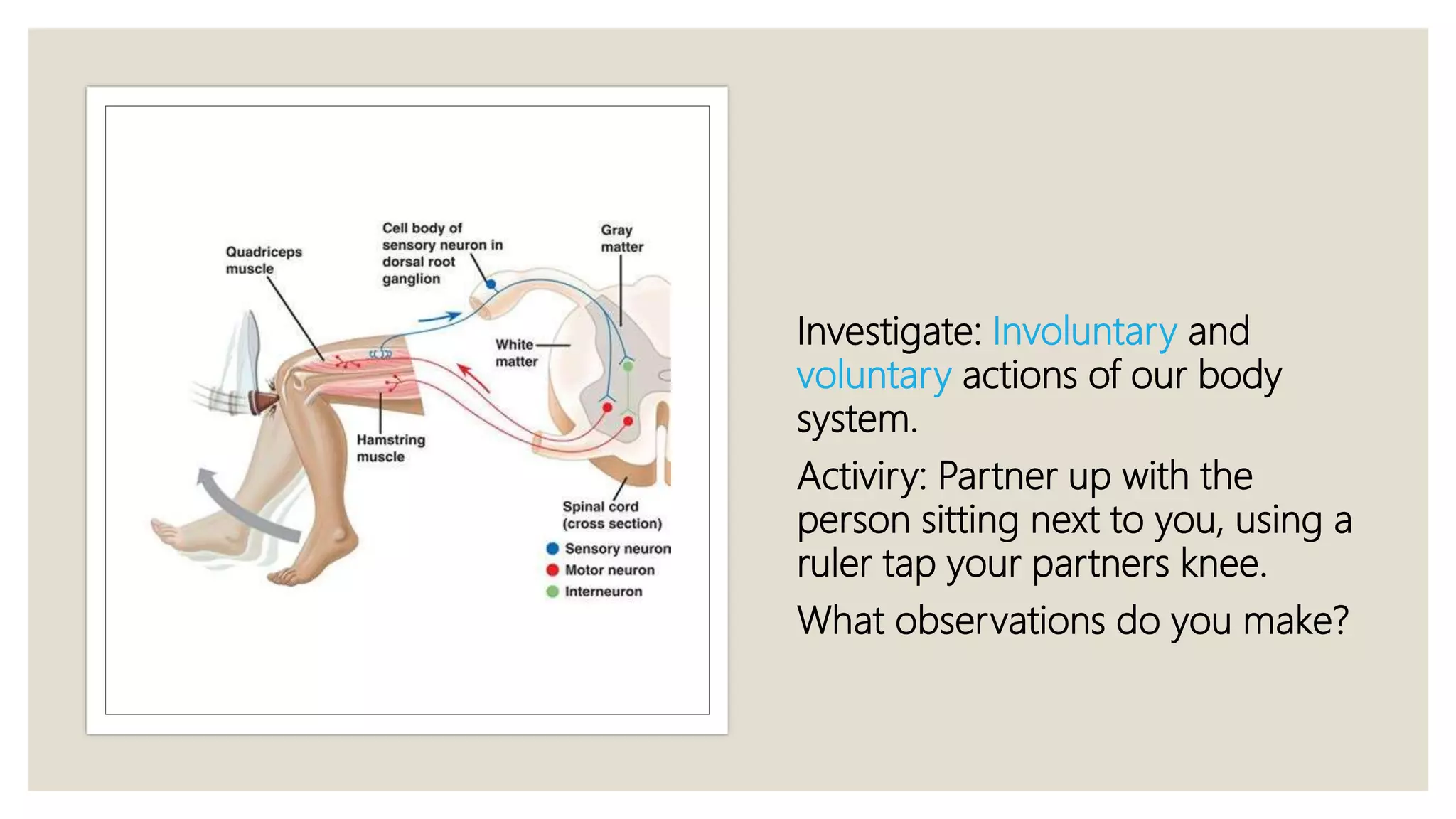 Area Natural Science: Unit 1 Interaction | PPT