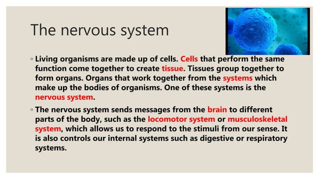 Area Natural Science: Unit 1 Interaction | PPT