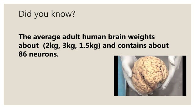 Area Natural Science: Unit 1 Interaction | PPT