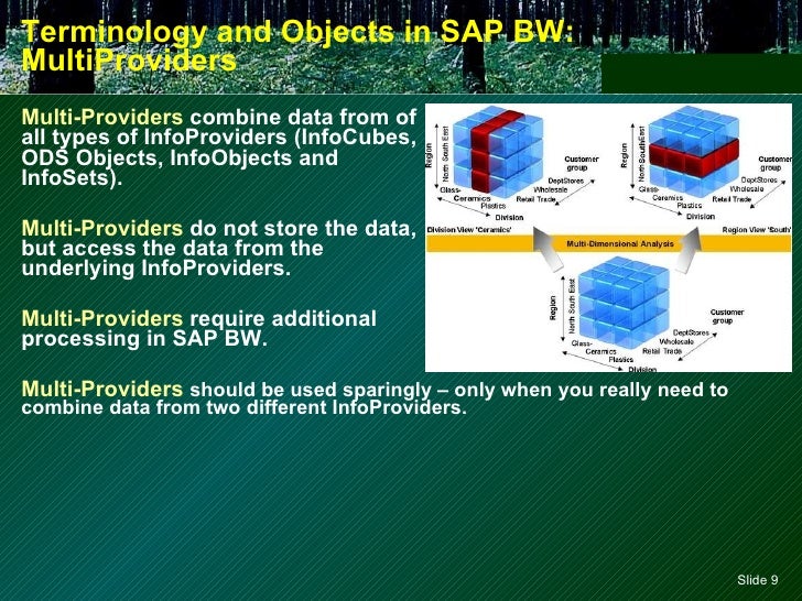 Introduction To SAP Bw Reporting | http://sapdocs.info