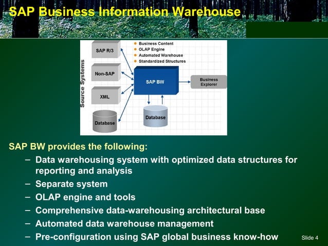 Unit 1 introduction_to_bw_reporting | PPT | Databases | Computer Software and Applications