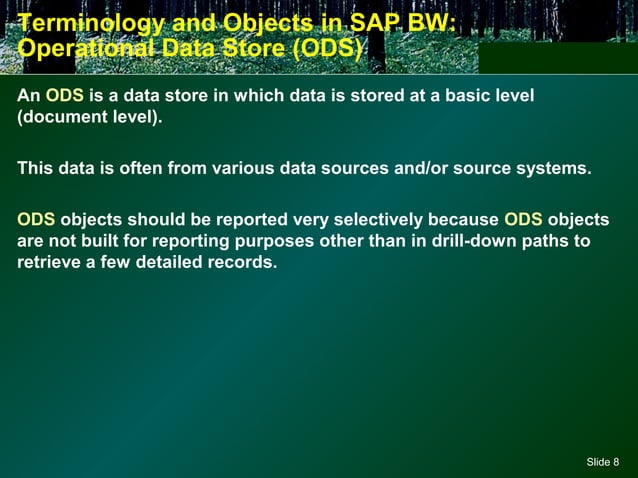 Unit 1 introduction_to_bw_reporting | PPT | Databases | Computer Software and Applications