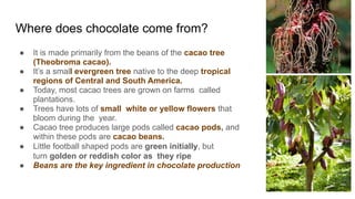 Unit 1 Introduction to Chocolates (1).pptx.pdf