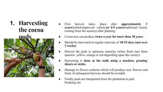 Unit 1 Introduction to Chocolates (1).pptx.pdf