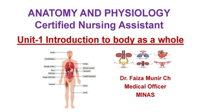 Unit 1 introduction to human body as a whole cna | PPT