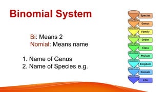 Unit 1 Introduction to Microbiology BSN new.pdf