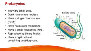 Unit 1 Introduction to Microbiology BSN new.pdf
