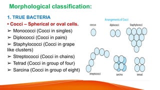 Unit 1 Introduction to Microbiology BSN new.pdf