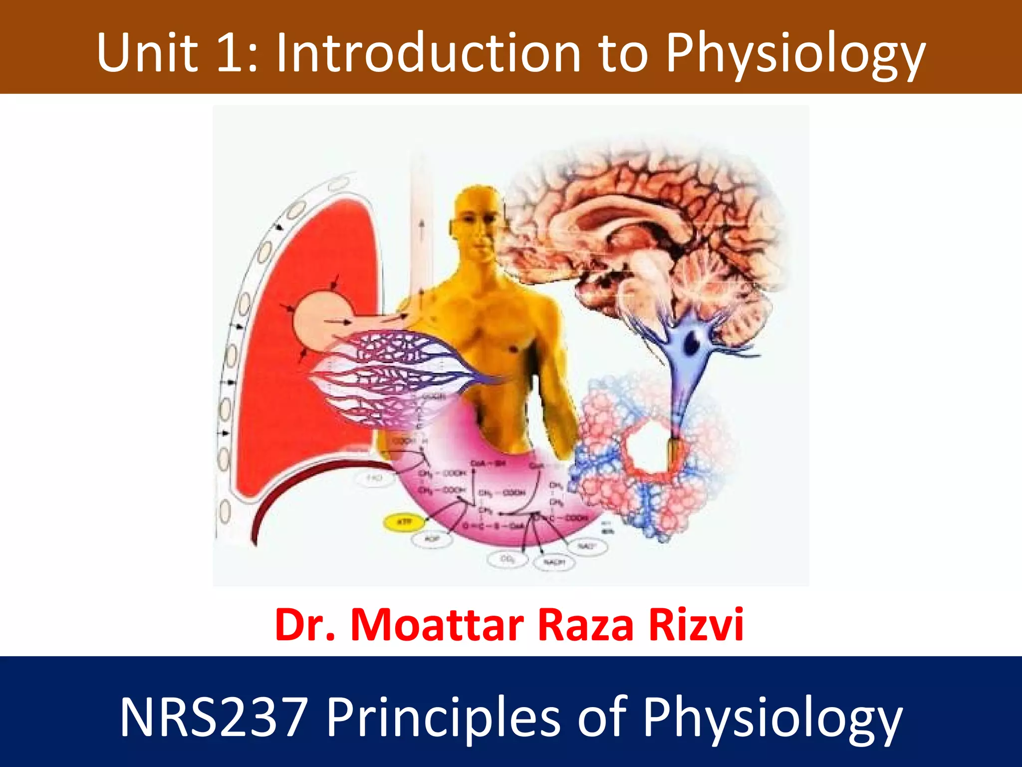Unit 1 introduction to physiology | PPT
