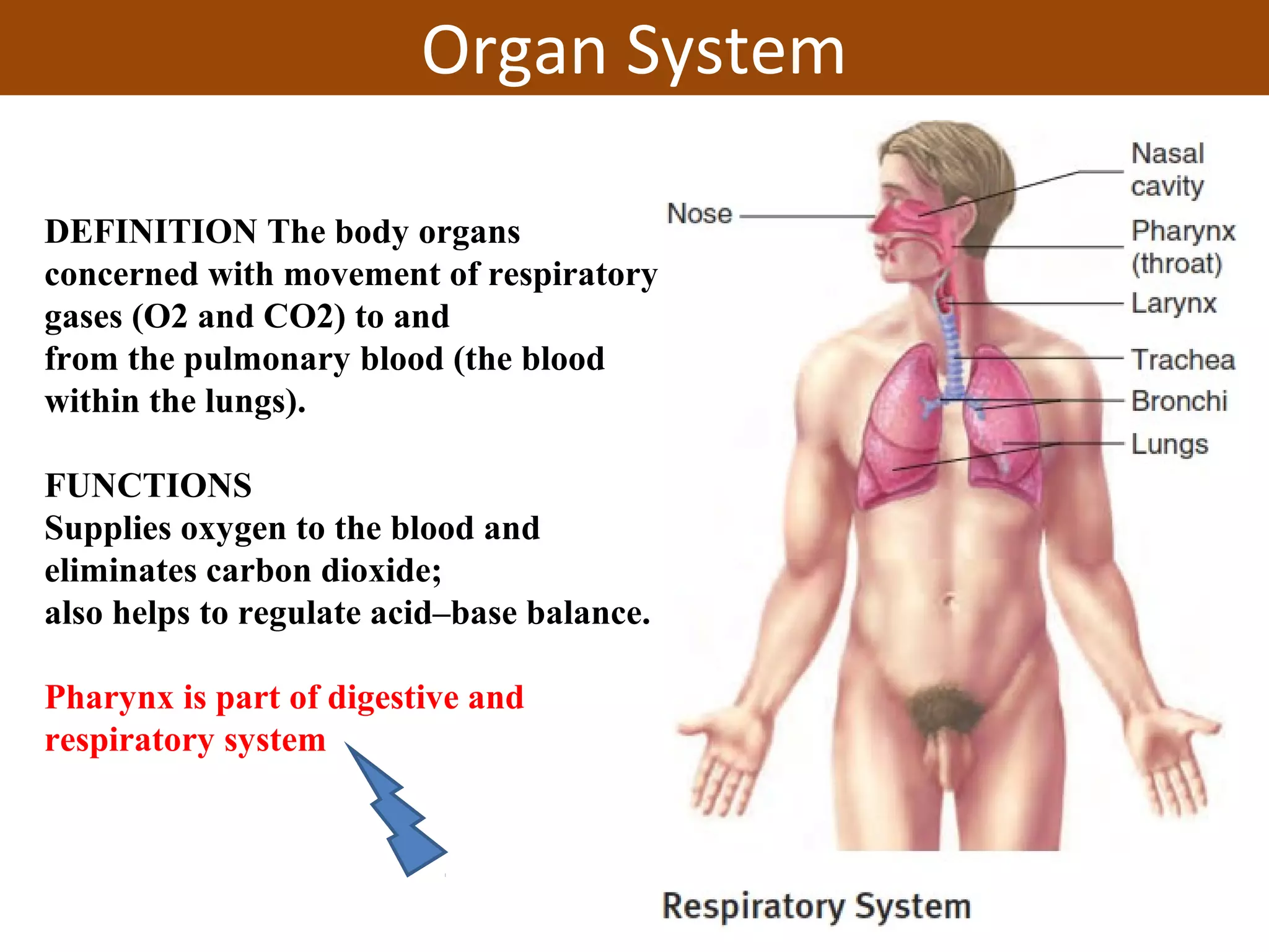 Unit 1 introduction to physiology | PPT