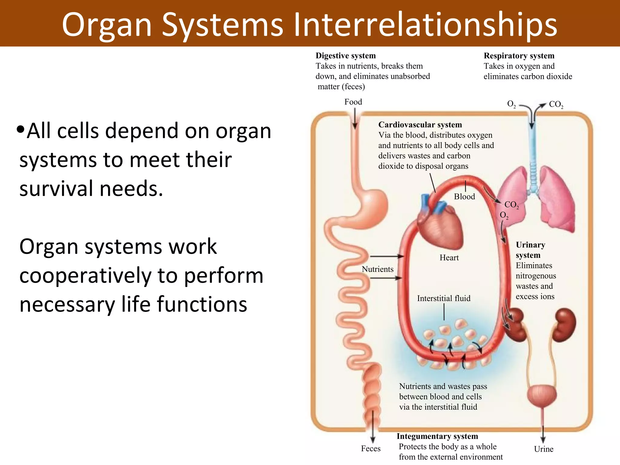 Unit 1 introduction to physiology | PPT