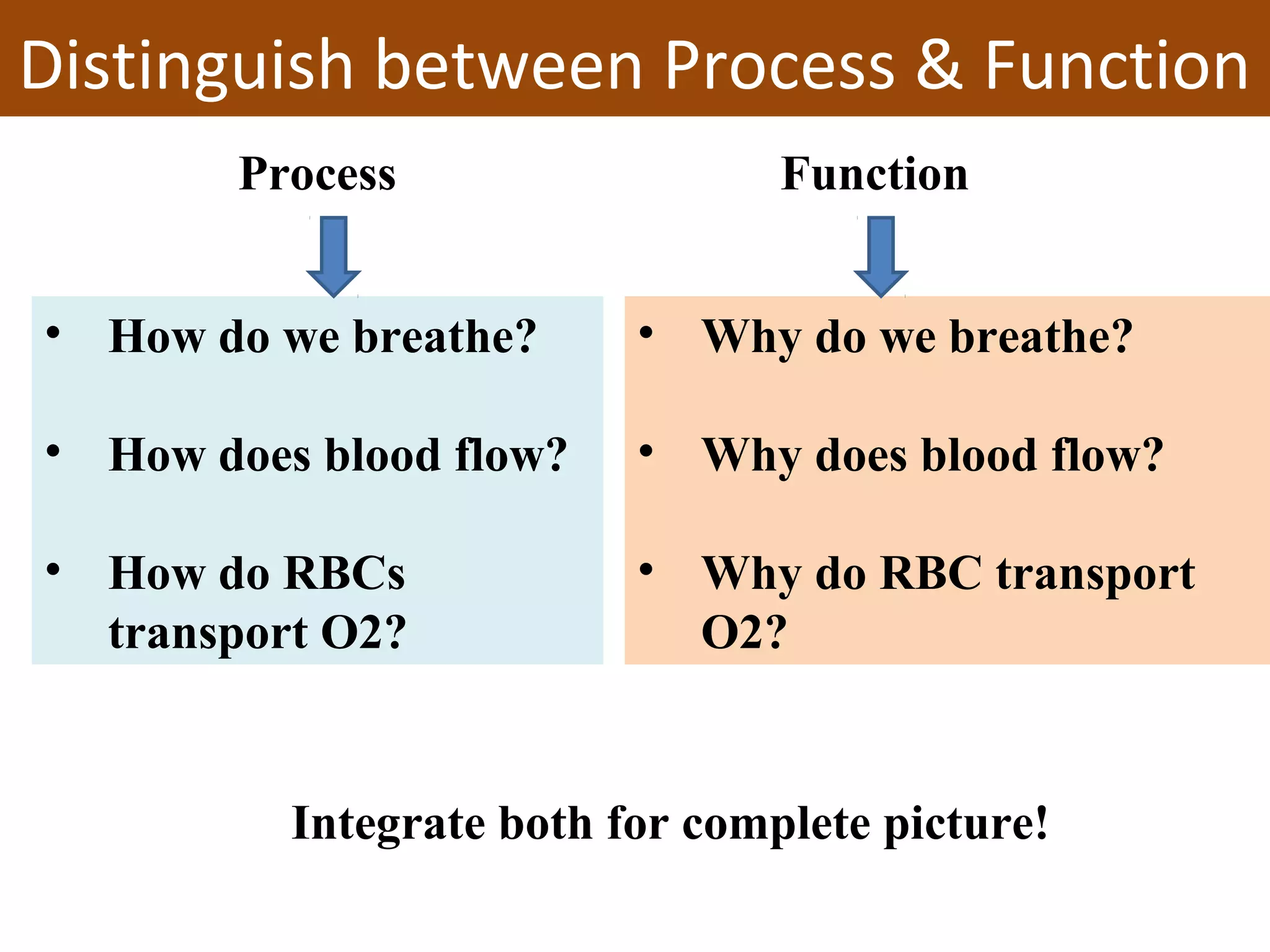 Unit 1 introduction to physiology | PPT