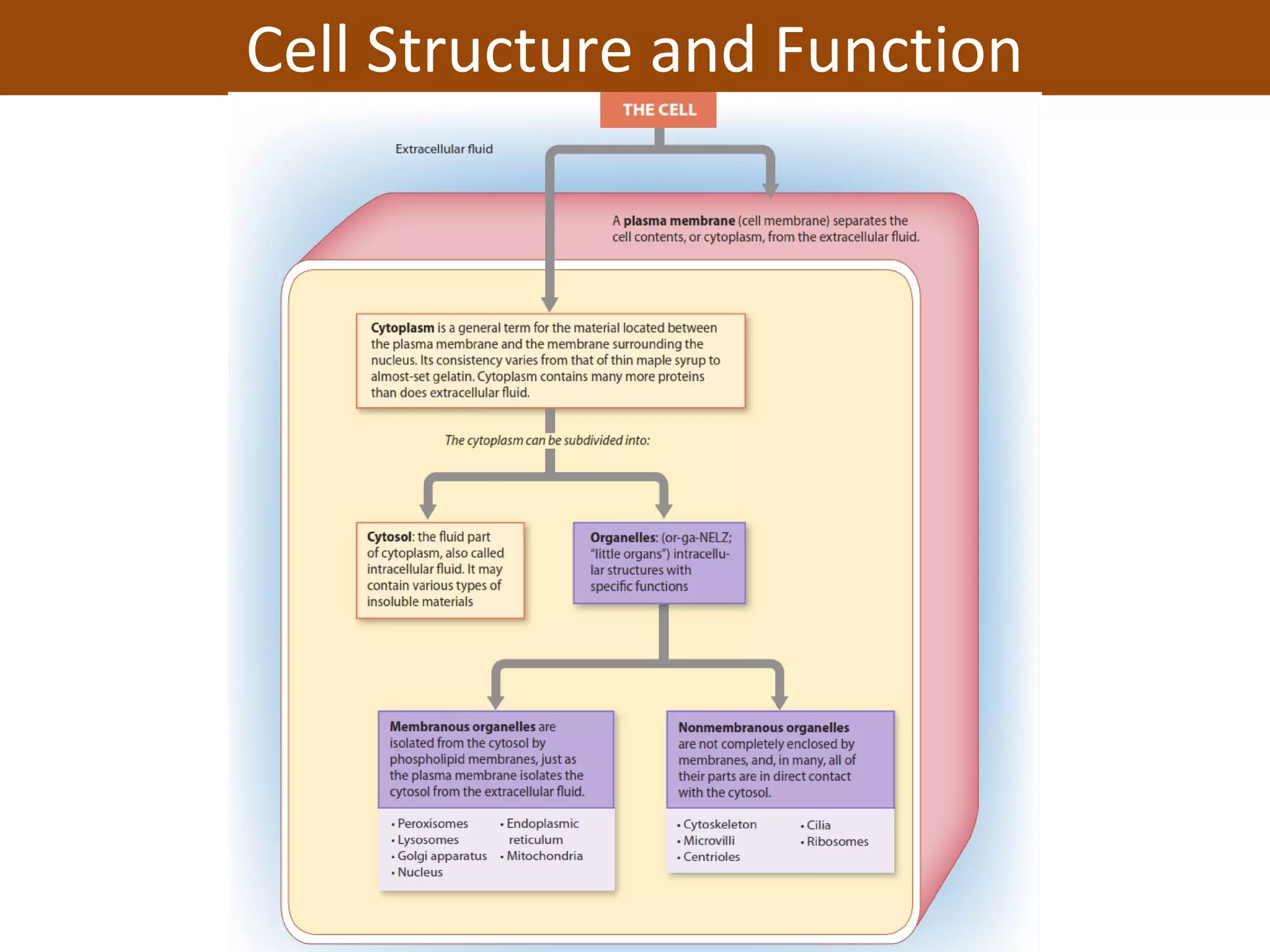 Unit 1 introduction to physiology | PPT