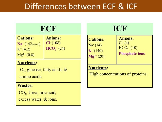 Unit 1 introduction to physiology