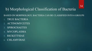 UNIT 1 Introduction to Prokaryotes, Eukaryotes, Morphological ...