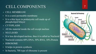 UNIT 1 Introduction to Prokaryotes, Eukaryotes, Morphological ...