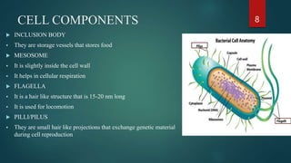 UNIT 1 Introduction to Prokaryotes, Eukaryotes, Morphological ...