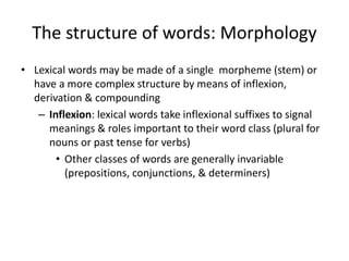 Unit 1 introductory categories and concepts (1) | PPTX