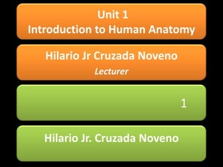 Unit 1 Intro to Anatomy | PPT