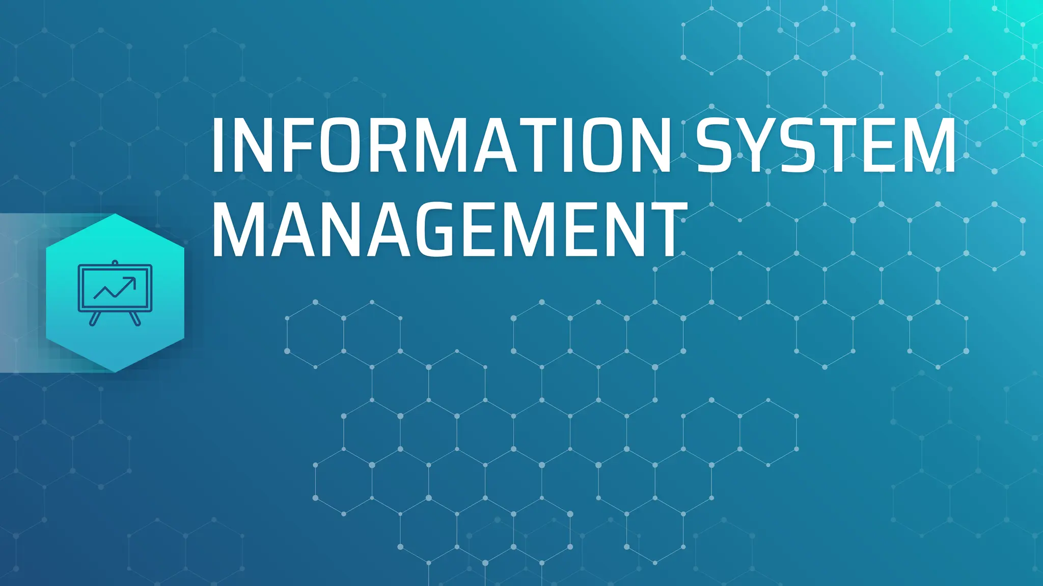 Theory Information System Management BBA | PPTX