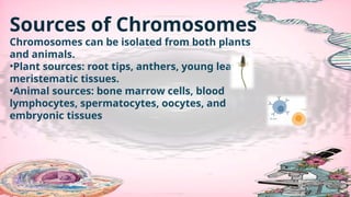 Unit 1 isolation chromosome and microdissection.pptx