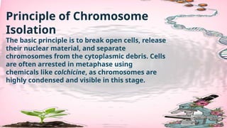 Unit 1 isolation chromosome and microdissection.pptx