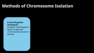 Unit 1 isolation chromosome and microdissection.pptx