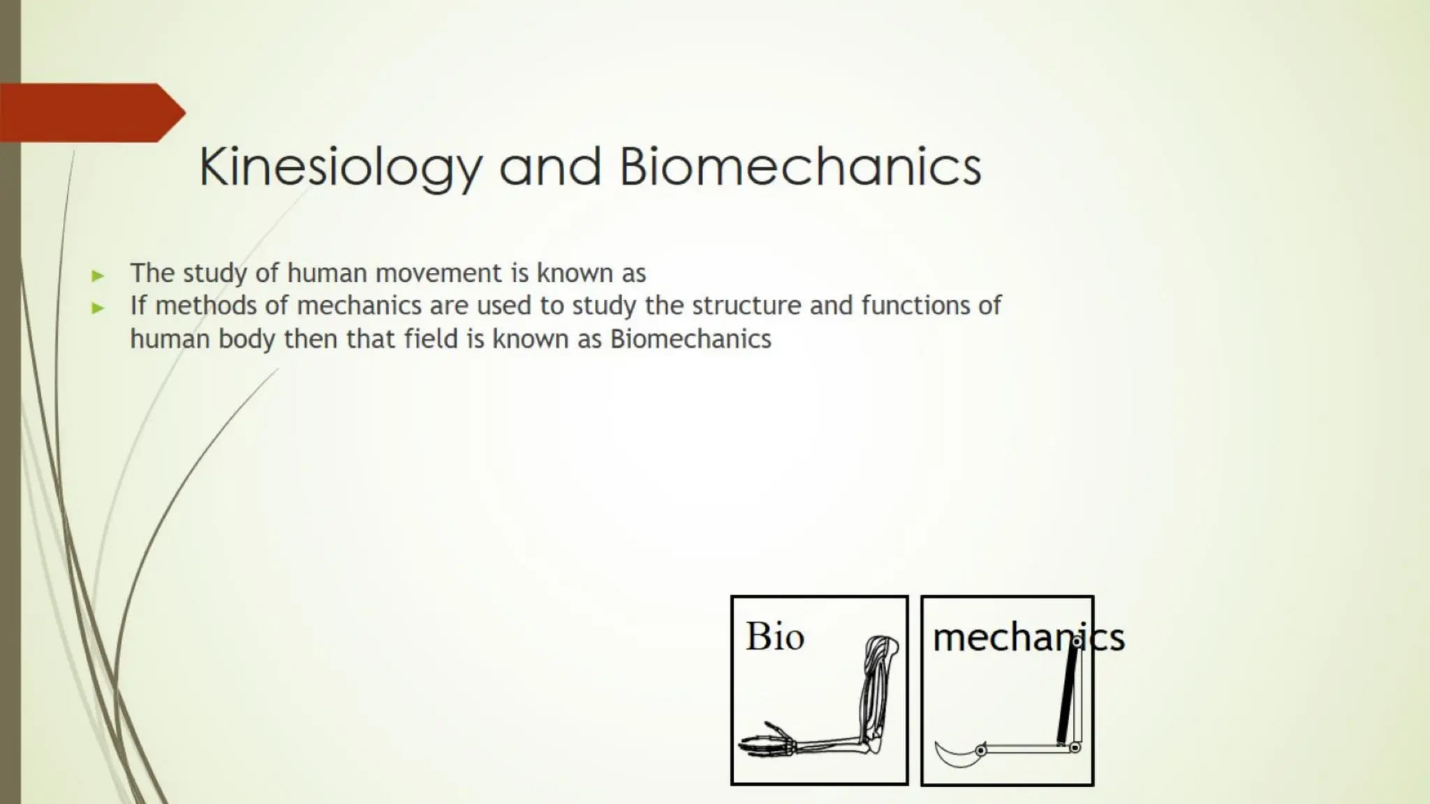 Unit 1 KINESIOLOGY BIO MECH INTRO pdf.pdf