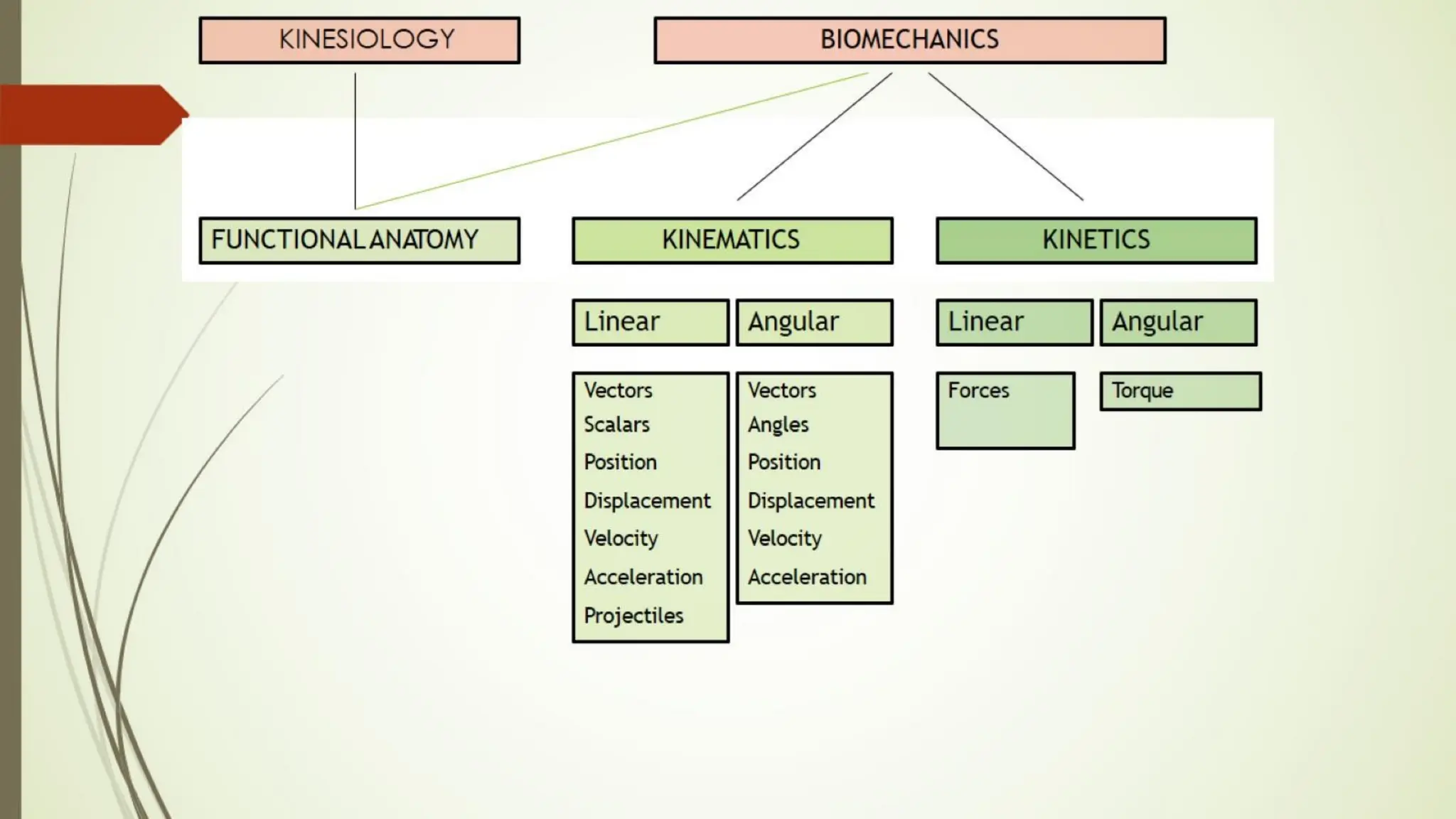 Unit 1 KINESIOLOGY BIO MECH INTRO pdf.pdf