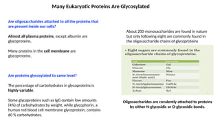UNIT 1_L5_Glycoproteins functions and structure .pptx
