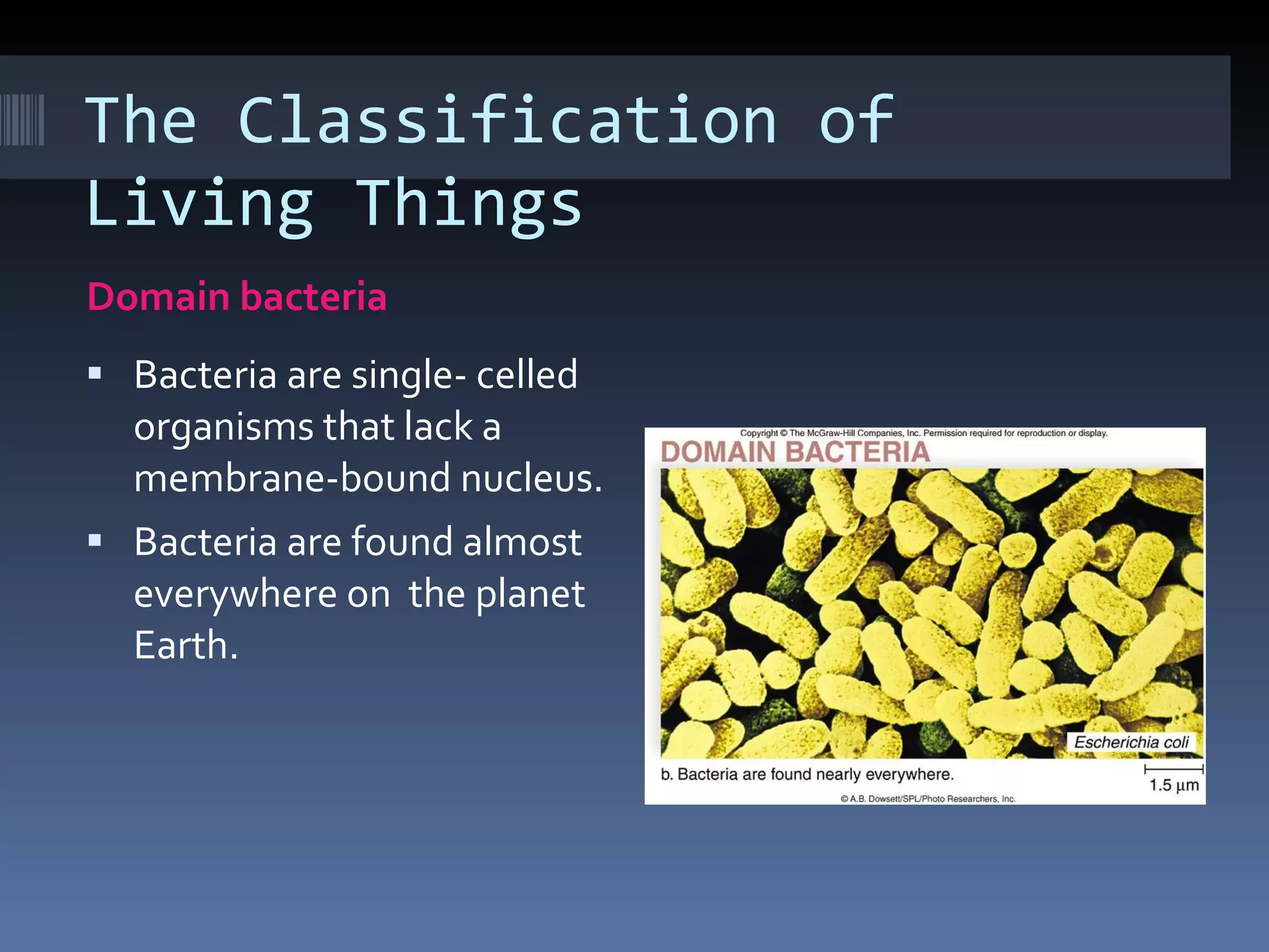 GENERAL BIOLOGY Unit 1 lesson 1 ppt | PPT