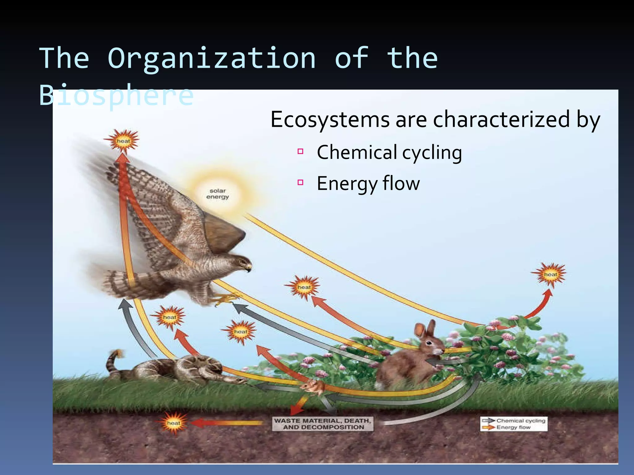 GENERAL BIOLOGY Unit 1 lesson 1 ppt | PPT