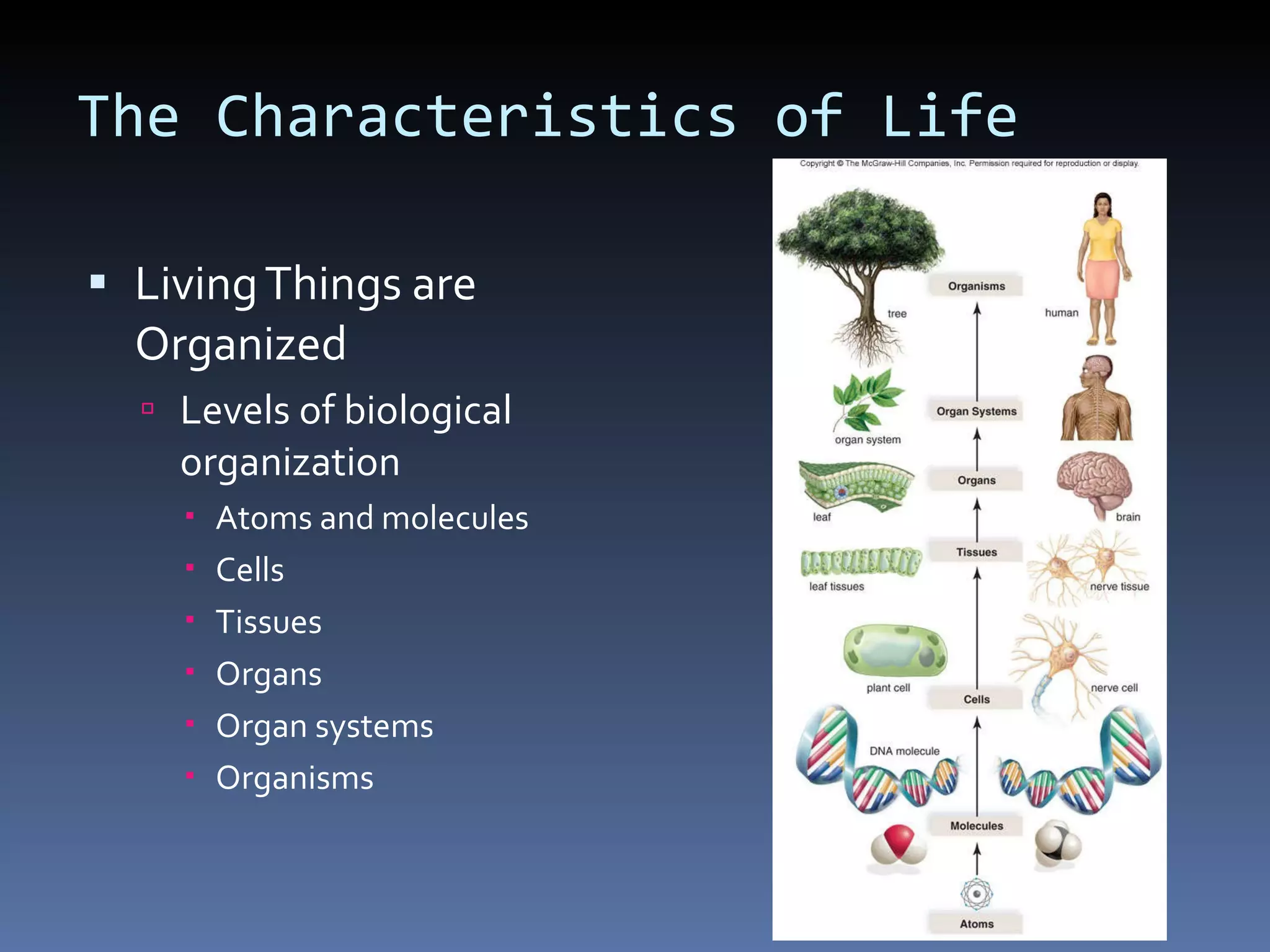 GENERAL BIOLOGY Unit 1 lesson 1 ppt | PPT