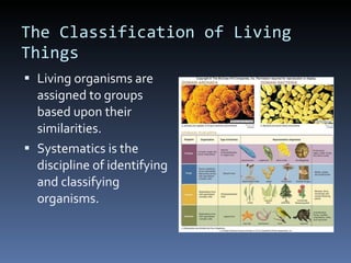GENERAL BIOLOGY Unit 1 lesson 1 ppt | PPT