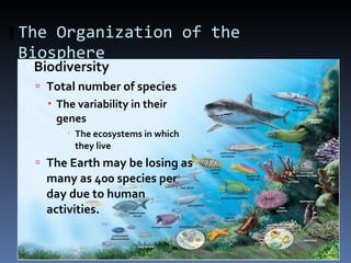 GENERAL BIOLOGY Unit 1 lesson 1 ppt | PPT