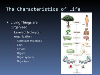 GENERAL BIOLOGY Unit 1 lesson 1 ppt | PPT