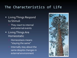 GENERAL BIOLOGY Unit 1 lesson 1 ppt | PPT