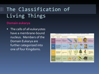 GENERAL BIOLOGY Unit 1 lesson 1 ppt | PPT