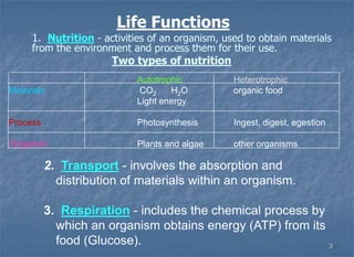 Unit 1 life functions | PPTX | Biological Sciences | Science