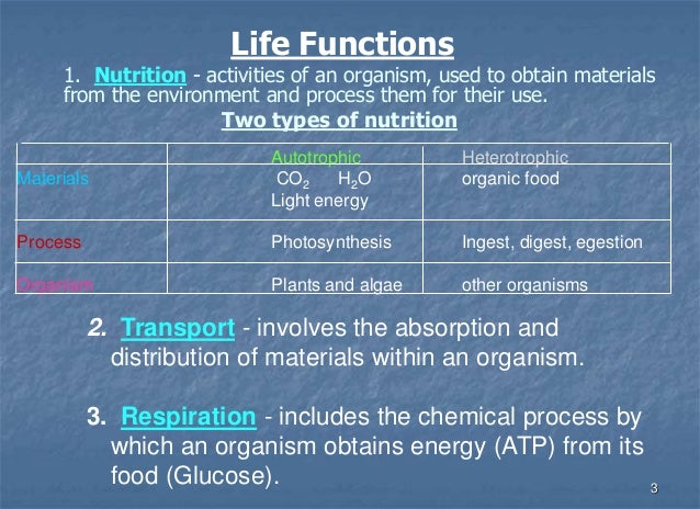 Unit 1 life functions