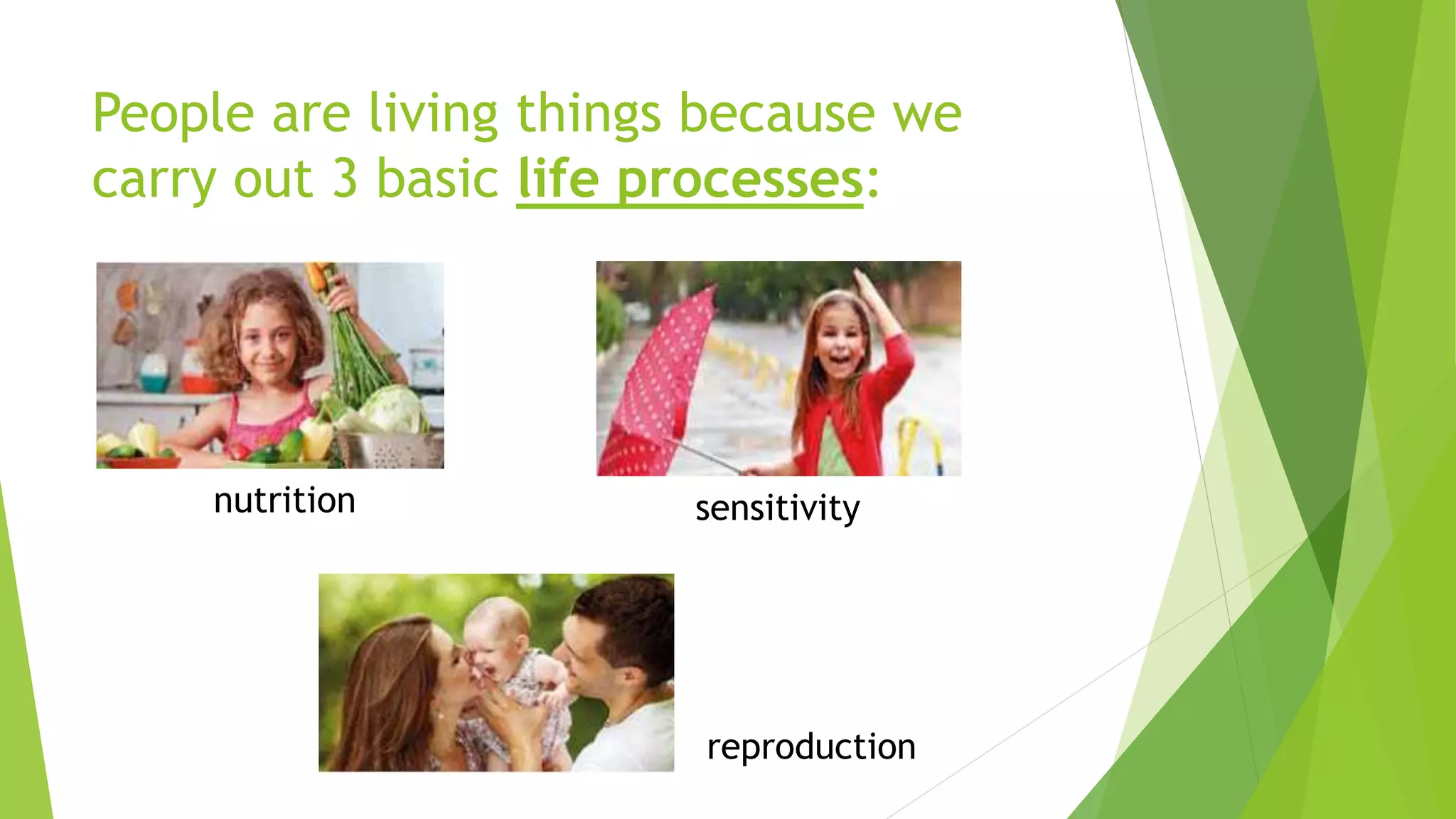 Unit 1 Life processes and feelings.pptx