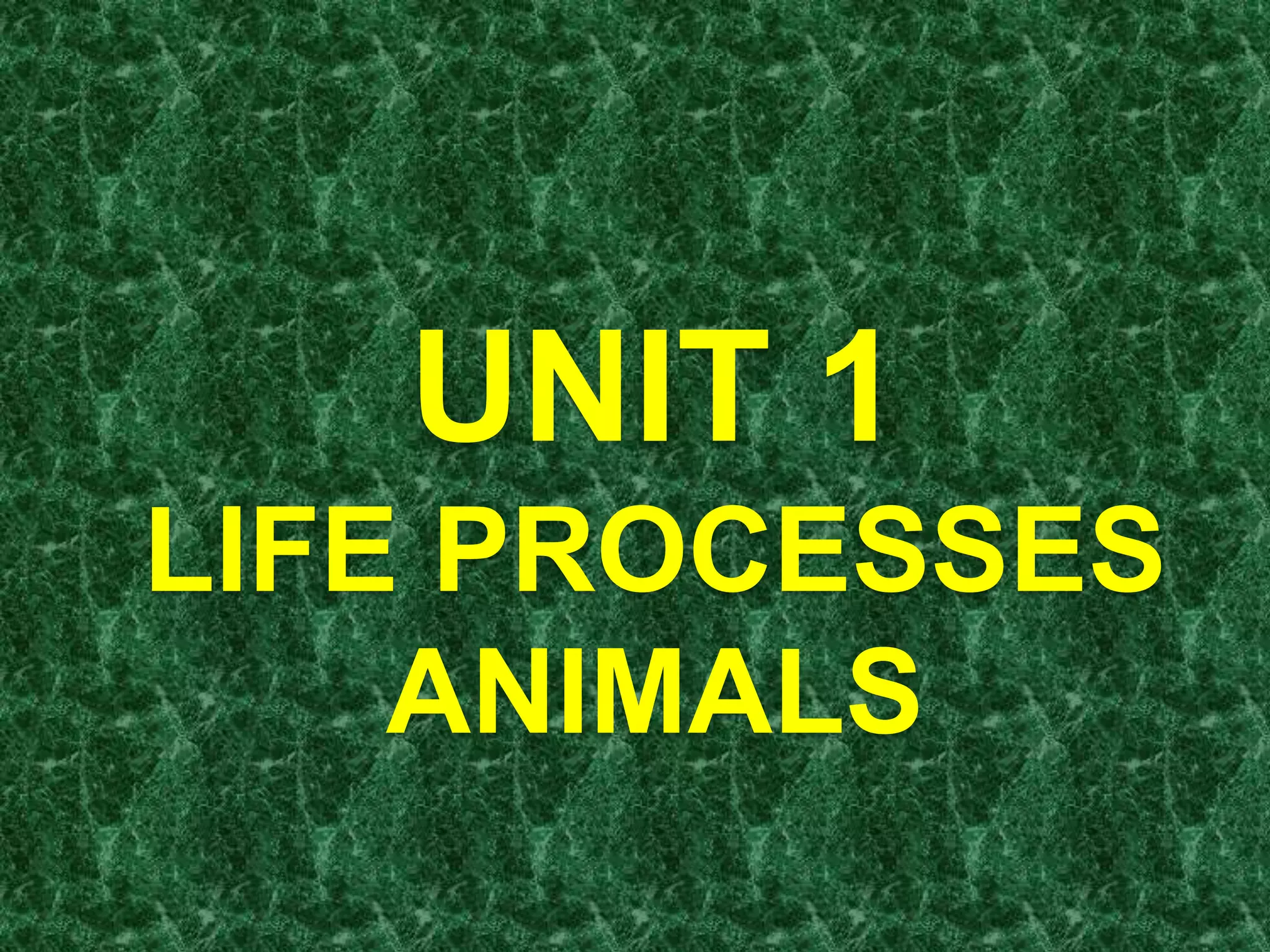 Unit 1 life processes animals | PPSX